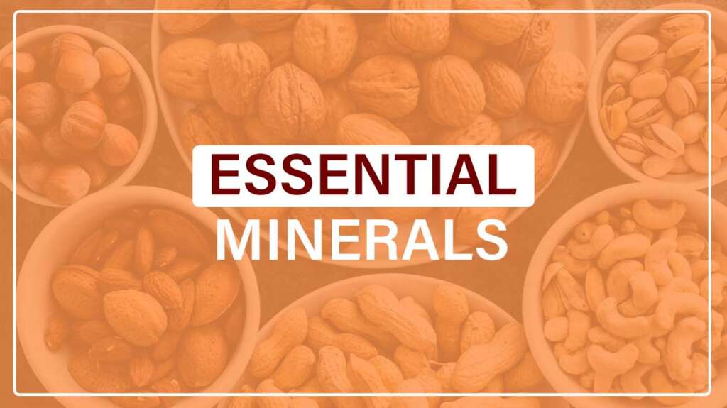 The Role of Essential Minerals In Body - Calcium, Phosphorus, Potassium ...