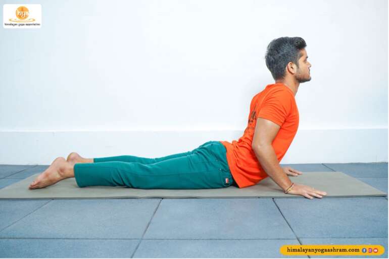 BHUJANGASANA - Bali Yoga School