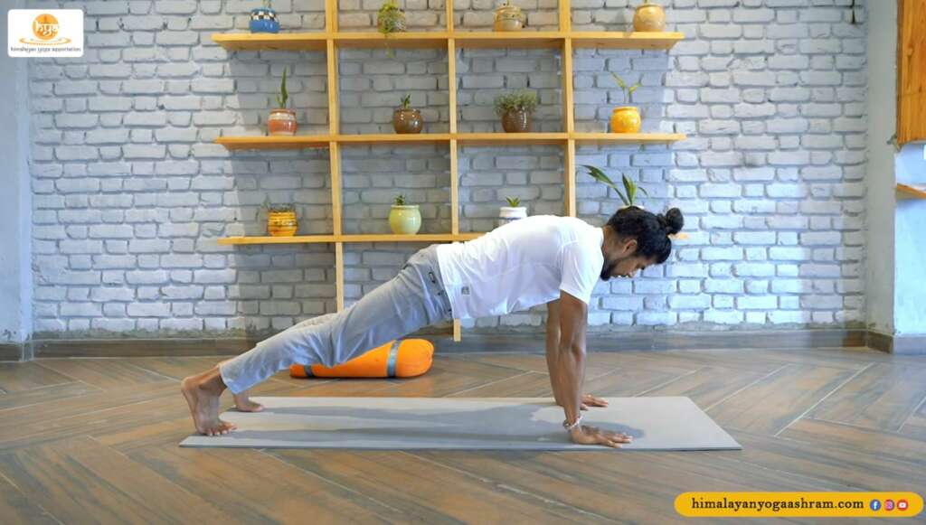 5 Asanas in a Flow for Upper Body Strength at Home - Bali Yoga School